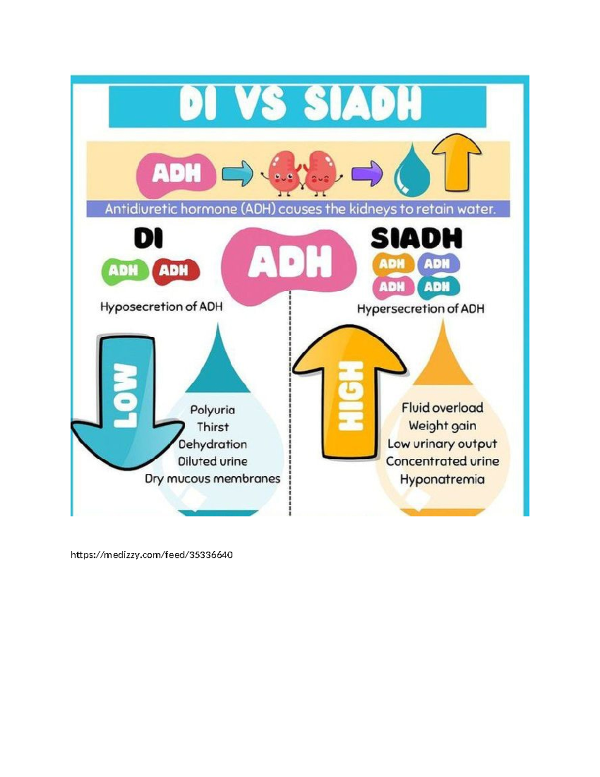 Siadh vs DI picture - Helpful information - DIVS SIADH ADH 9 Sus ...