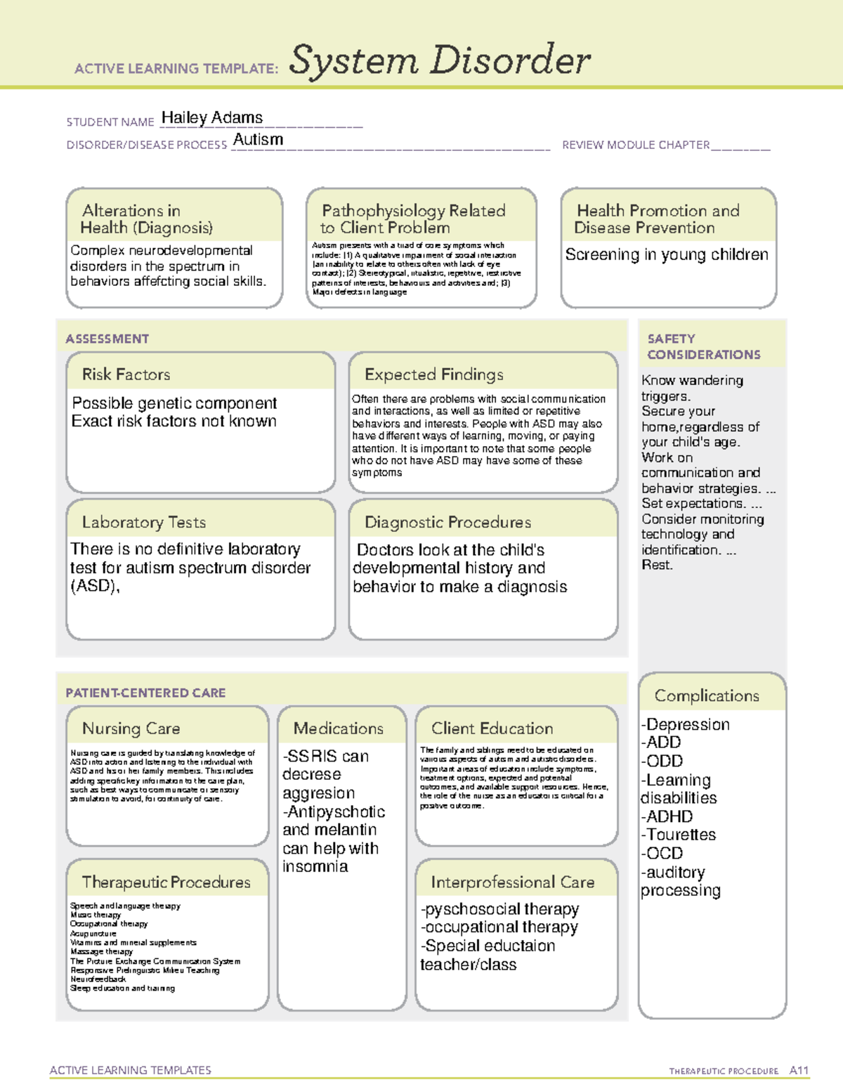 Autism Concept Map Ati Template ACTIVE LEARNING TEMPLATES