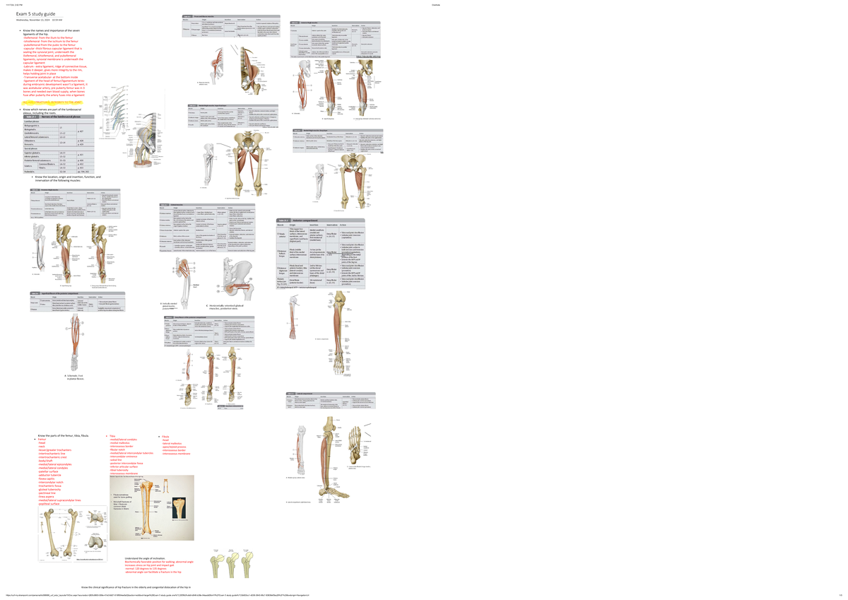 Exam 5 notes - Exam 5 study guide Wednesday, November 13, 2024 10:59 AM ...