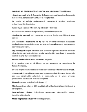 ANATOMÍA DEL SISTEMA REPRODUCTOR MASCULINO - FIMOSIS Y PARAFIMOSIS ...