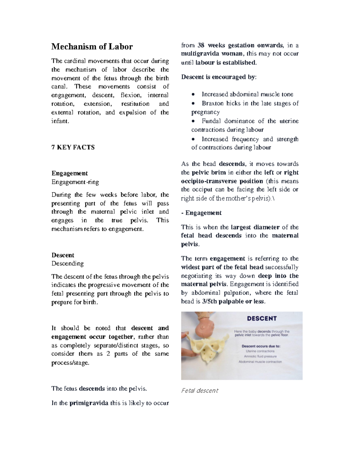 Mechanism-of-Labor - reviewer - Mechanism of Labor The cardinal ...