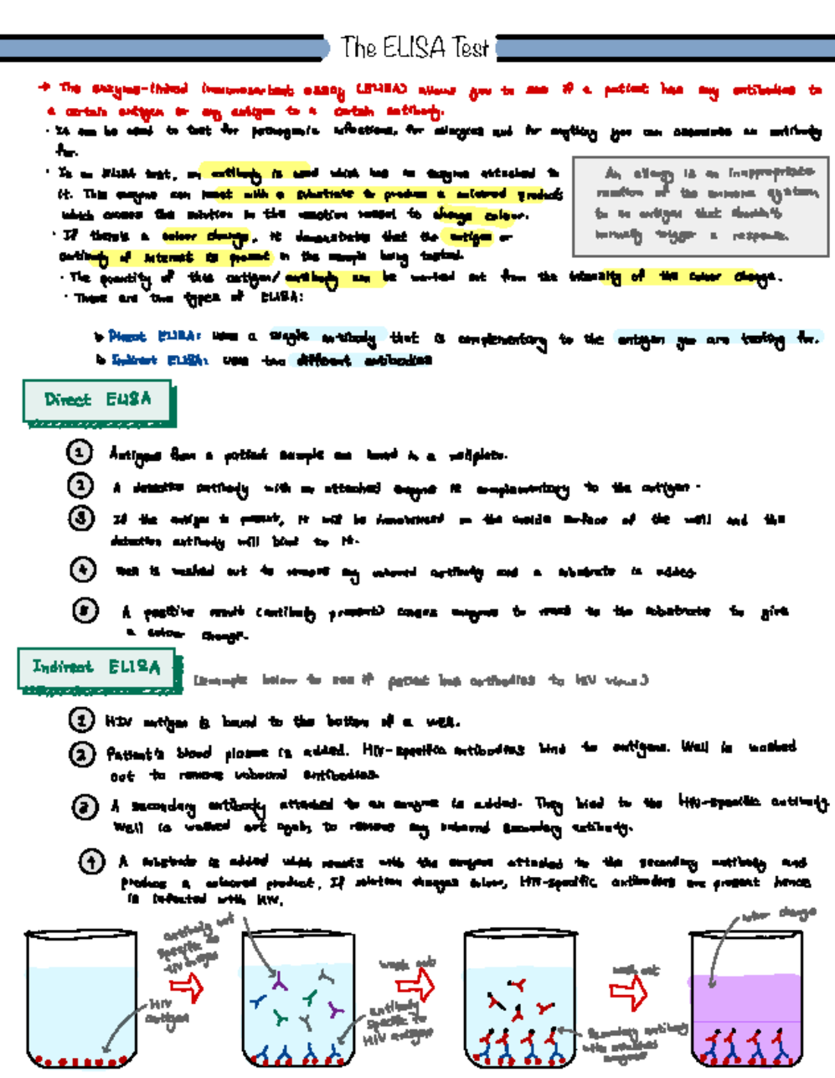 Elisa Test Notes - The ELISA Test → The enzyme - linked immunosorbent ...