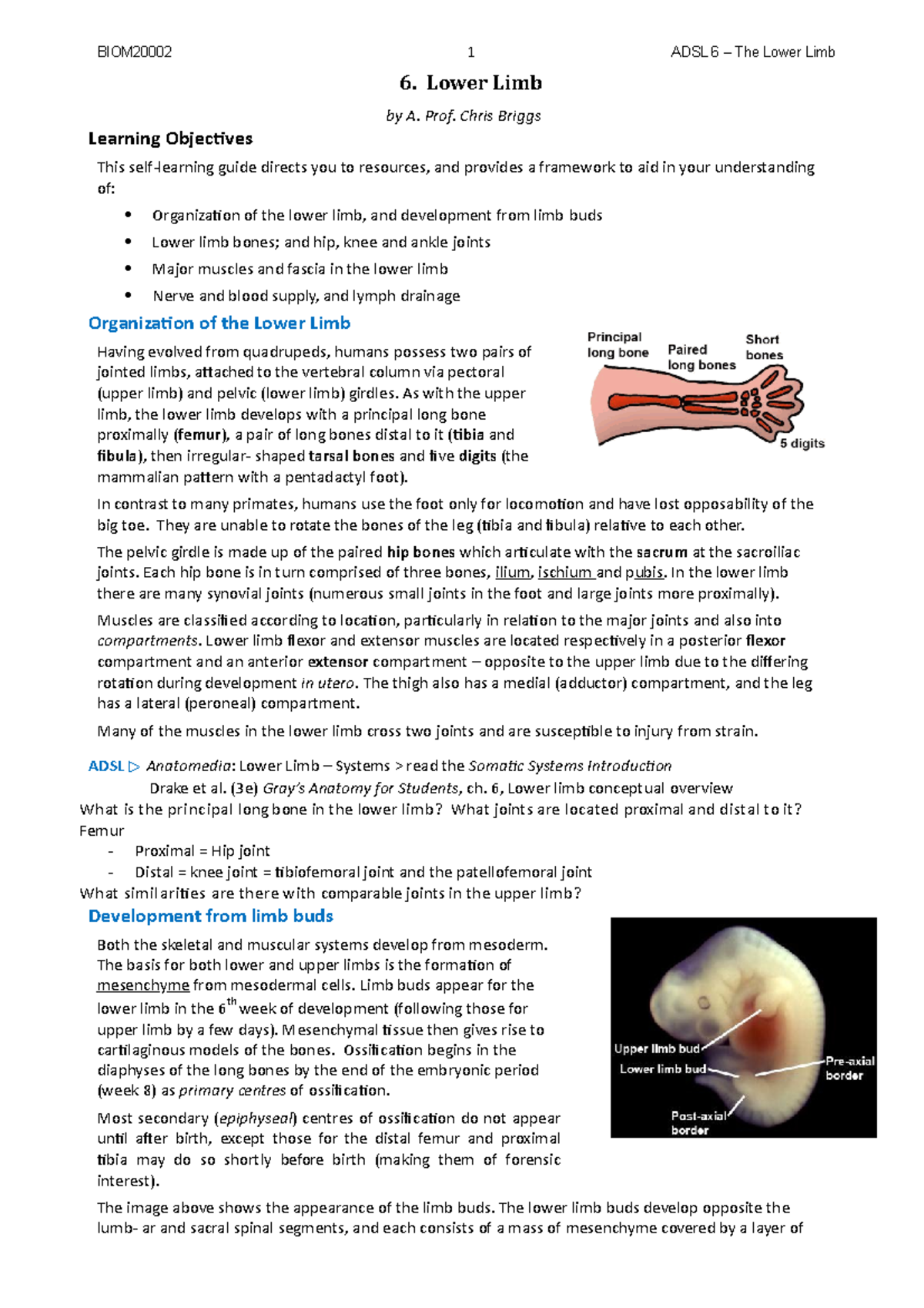 ADSL06 Lower-Limb Worksheet - 6. Lower Limb by A. Prof. Chris Briggs ...