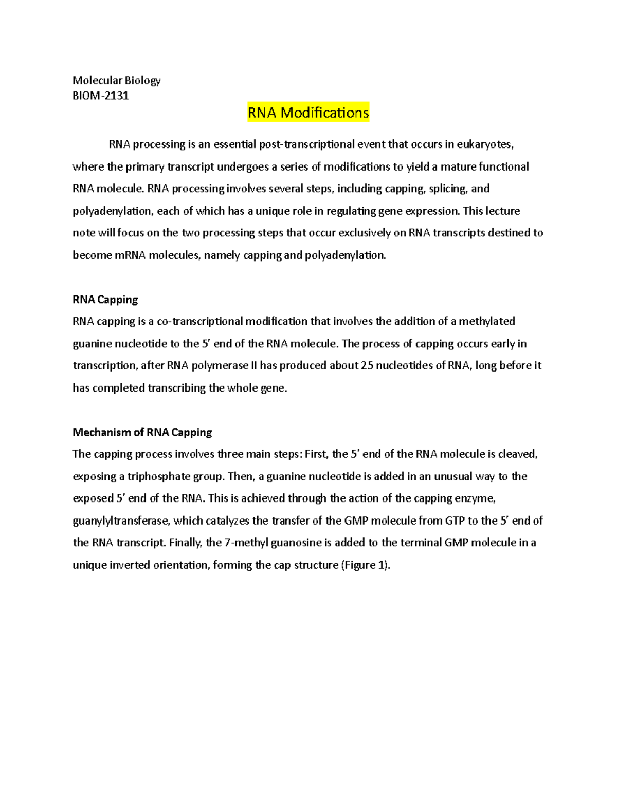Molecular Biology RNA Modifications - Molecular Biology BIOM- RNA ...