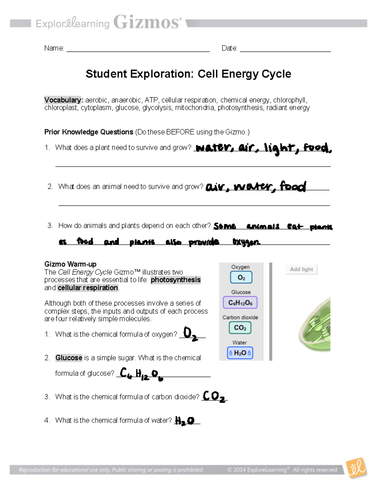 Cell Energy SE - Bio - Name ...