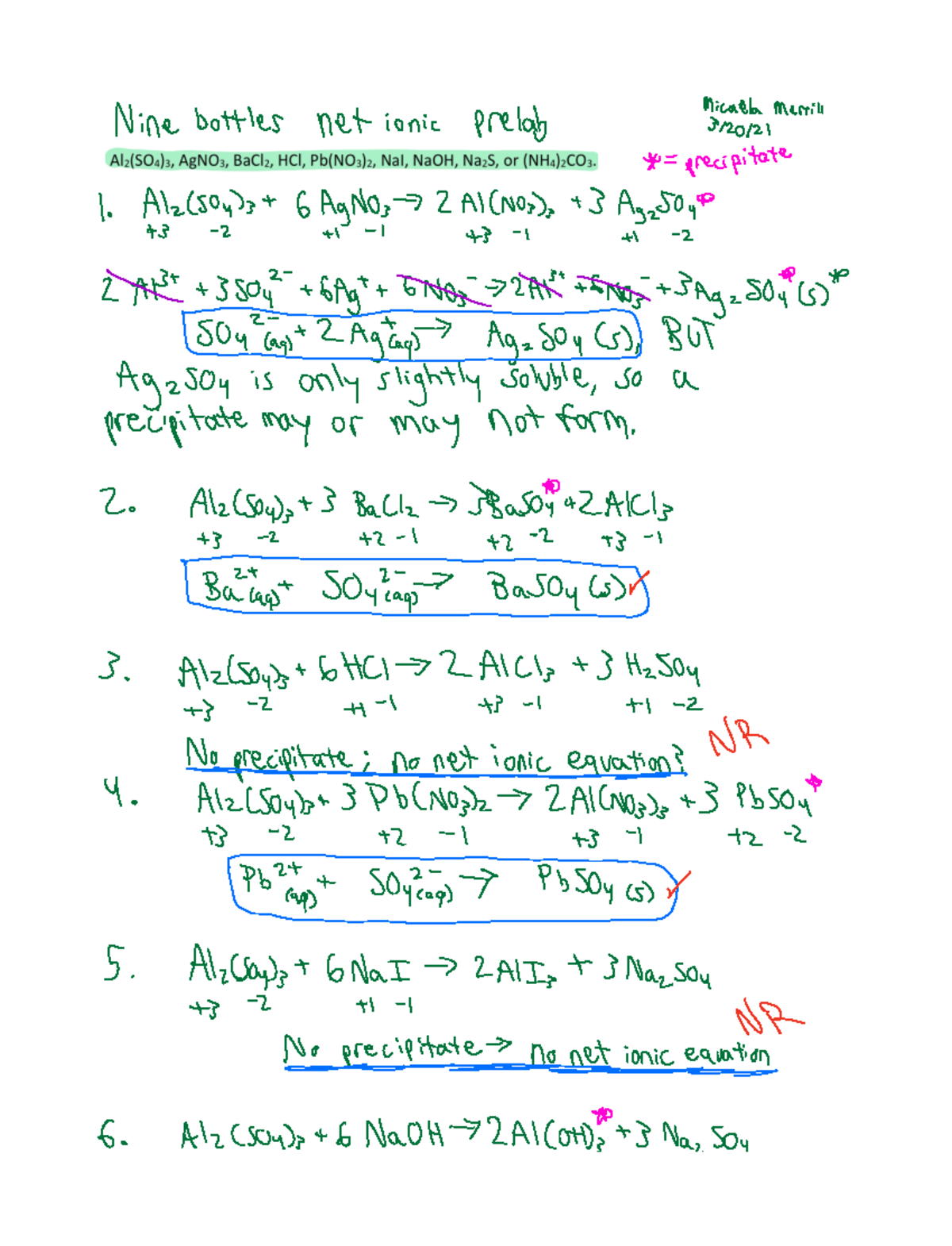 CHEM131 net ionic equations for nine bottles lab ...
