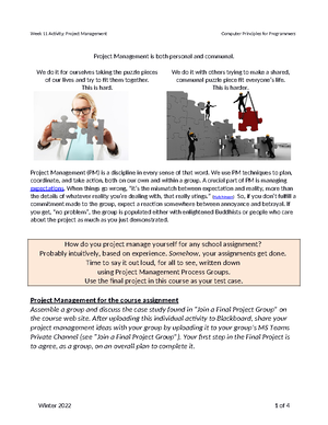 CP4P Week10 Activity - Answer docs - Security Computer Principles for Programmers VIBHANSHU ...