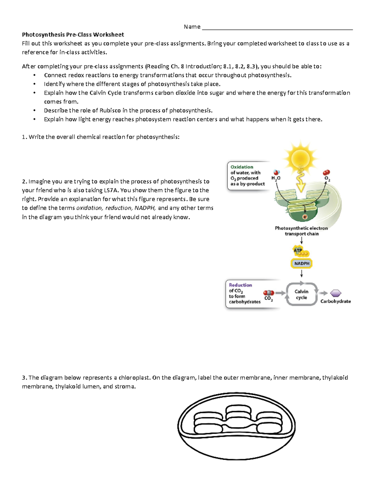Week 4b Photosynthesis v2 - Name ...