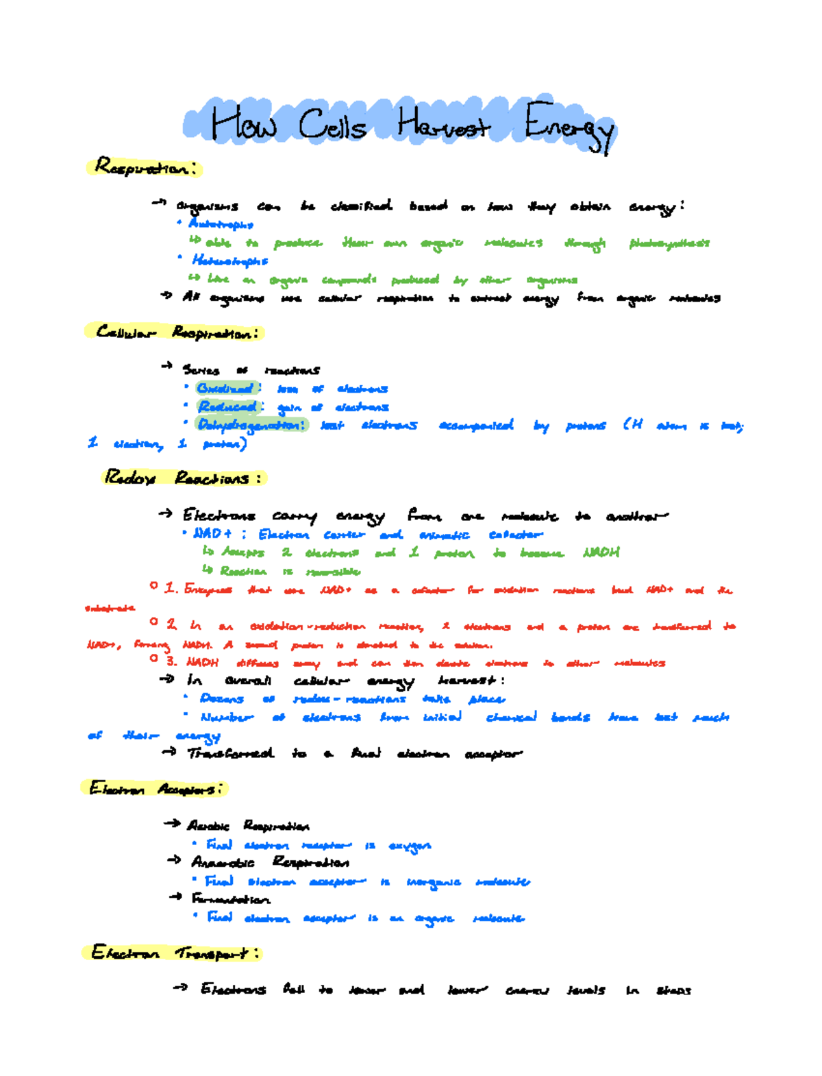 Biology 198 Chapter 7 Notes - BIO 198 - Studocu