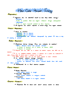 Chapter 13 General Biology 1 - Chapter 13: General Biology 1 • The term ...