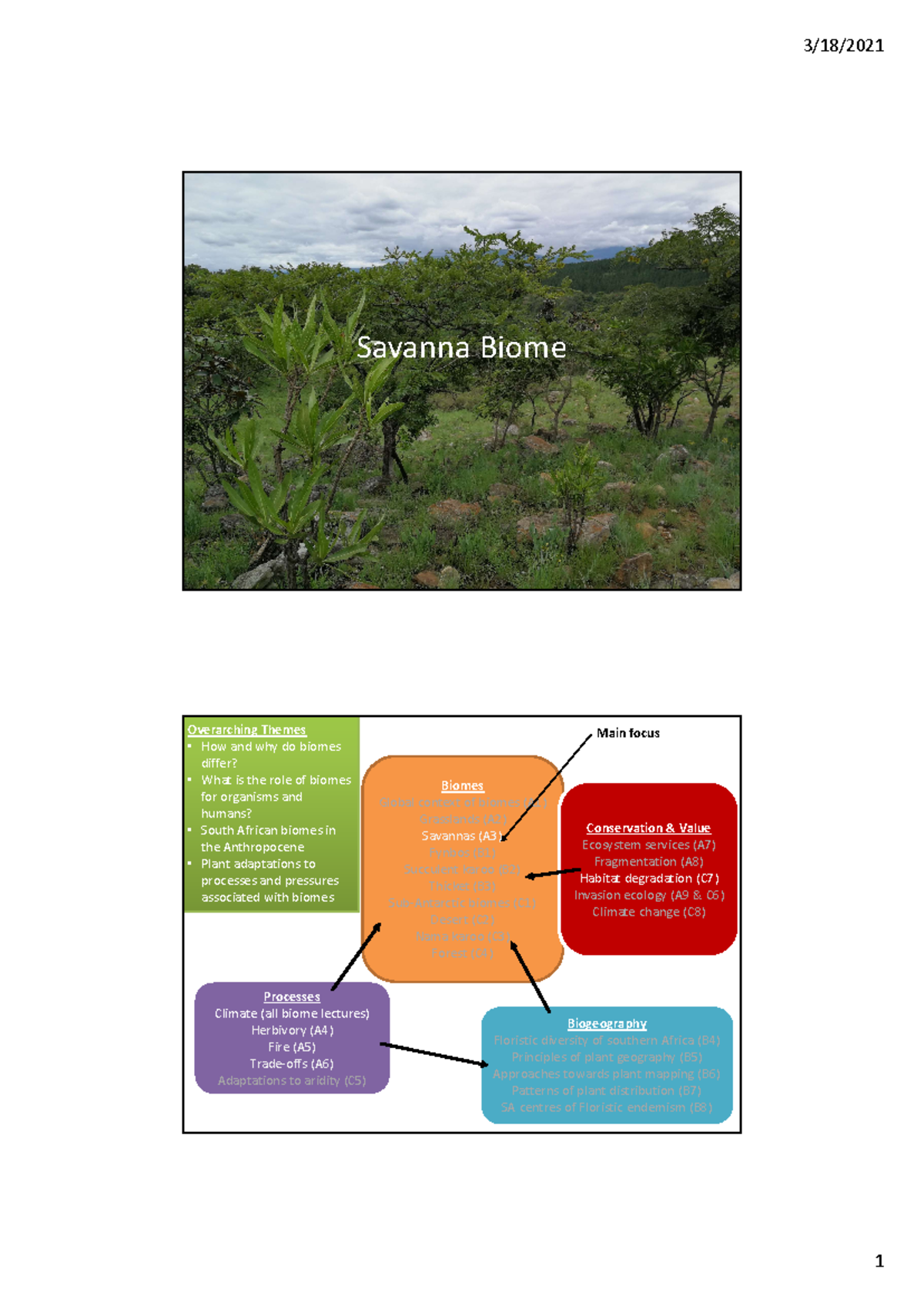 L3 Savannas - Savanna biome - Savanna Biome Biomes Global context of ...