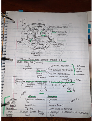 Ch 13b - Notes from Samantha Spurlin's 2022-2023 Intro. to Bio class ...