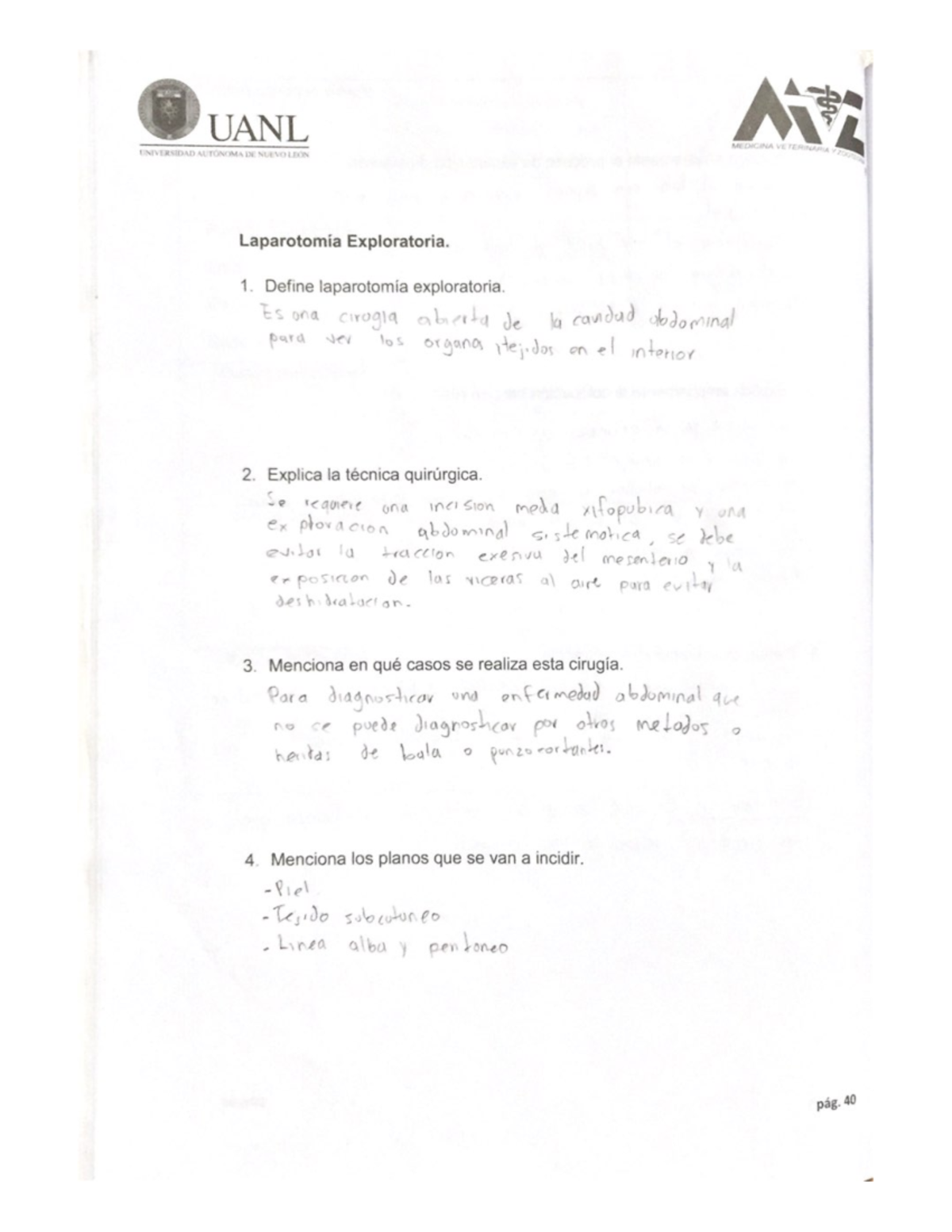 Manual 2 Brandon Isaac Leal Ruelas - administracion - Studocu