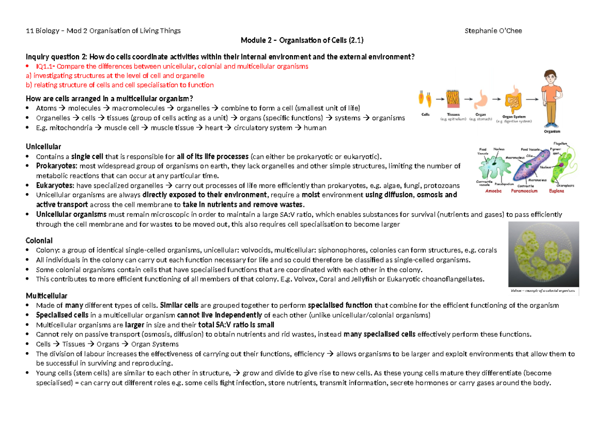 Biology Mod 2.1. – Organisation of Cells - Module 2 – Organisation of ...