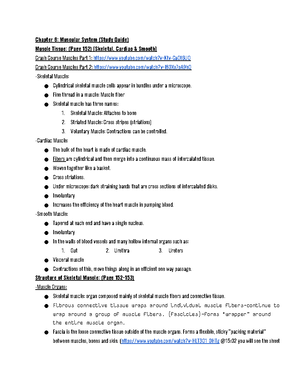 Muscular System Study Guide - Muscular System Study Guide ...