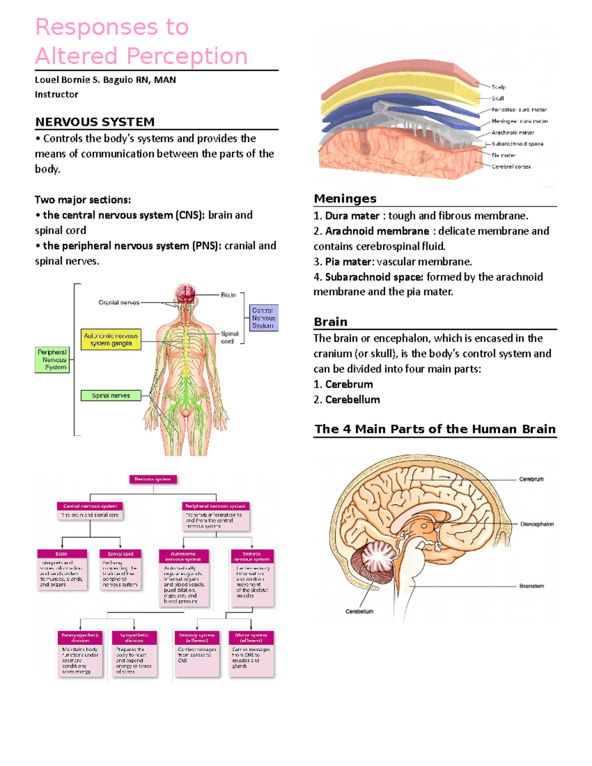 Responses to Altered Perception - Responses to Altered Perception Louel ...