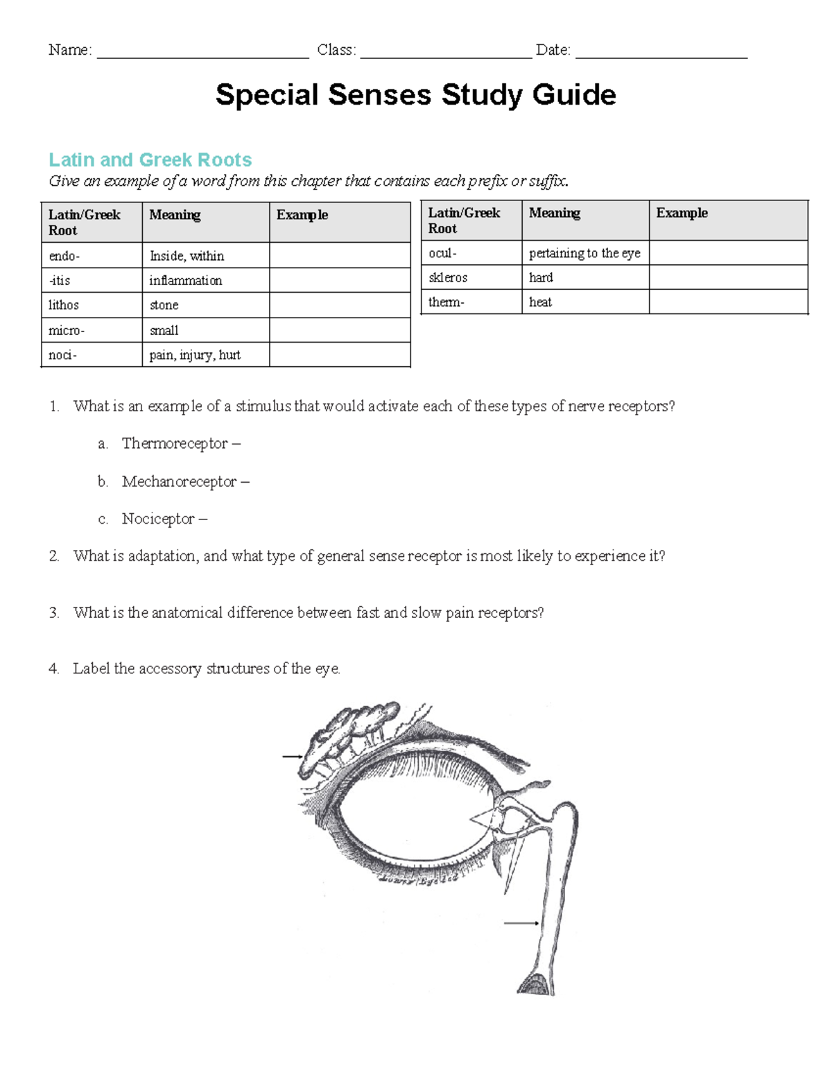 Special Senses Study Guide - Name: __________________________ Class