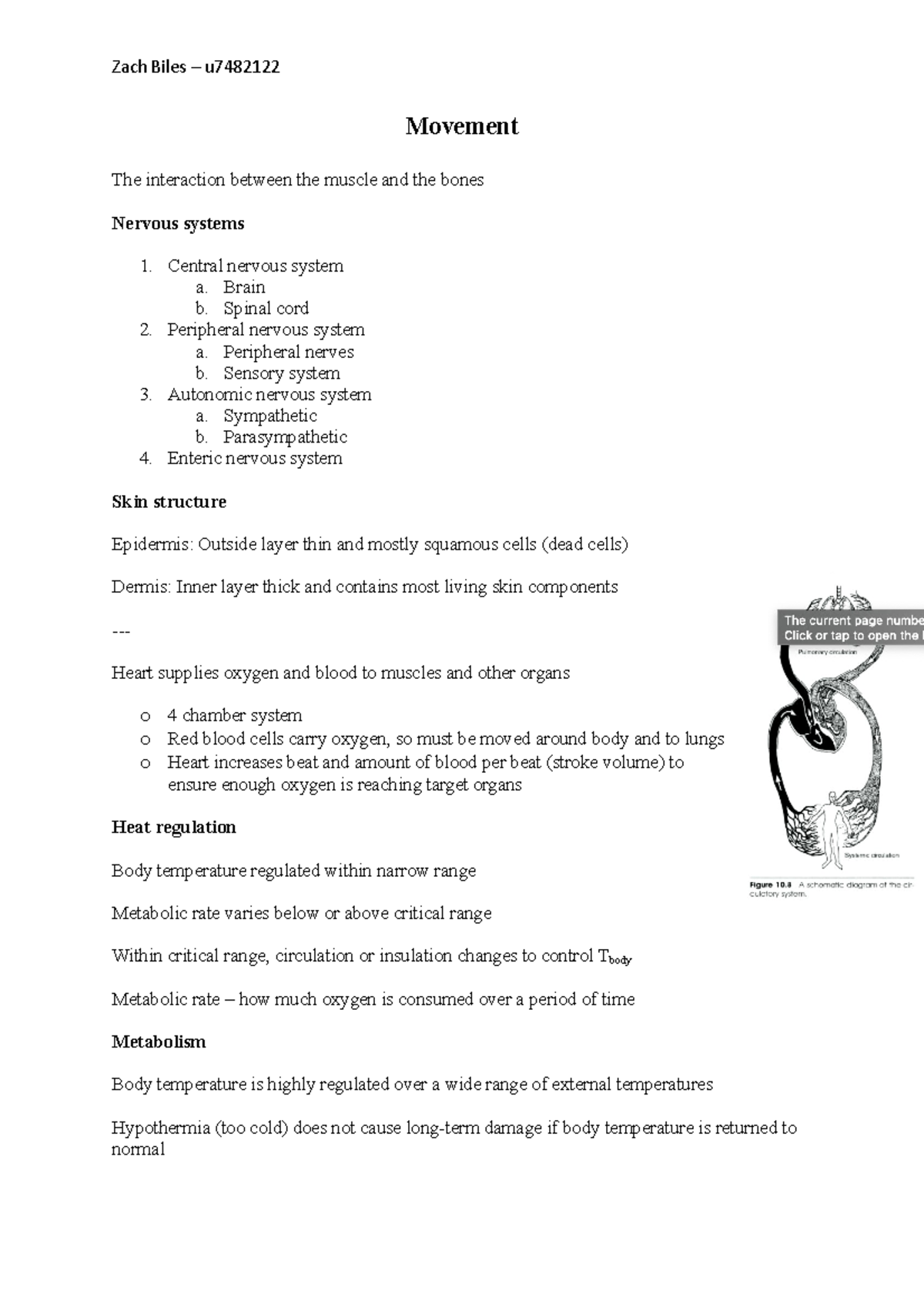 Lecture Notes: Movement - Zach Biles u7482122 Movement The interaction ...