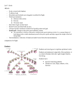 Comparative Anatomy Final - Sample Questions for Final Examination ...