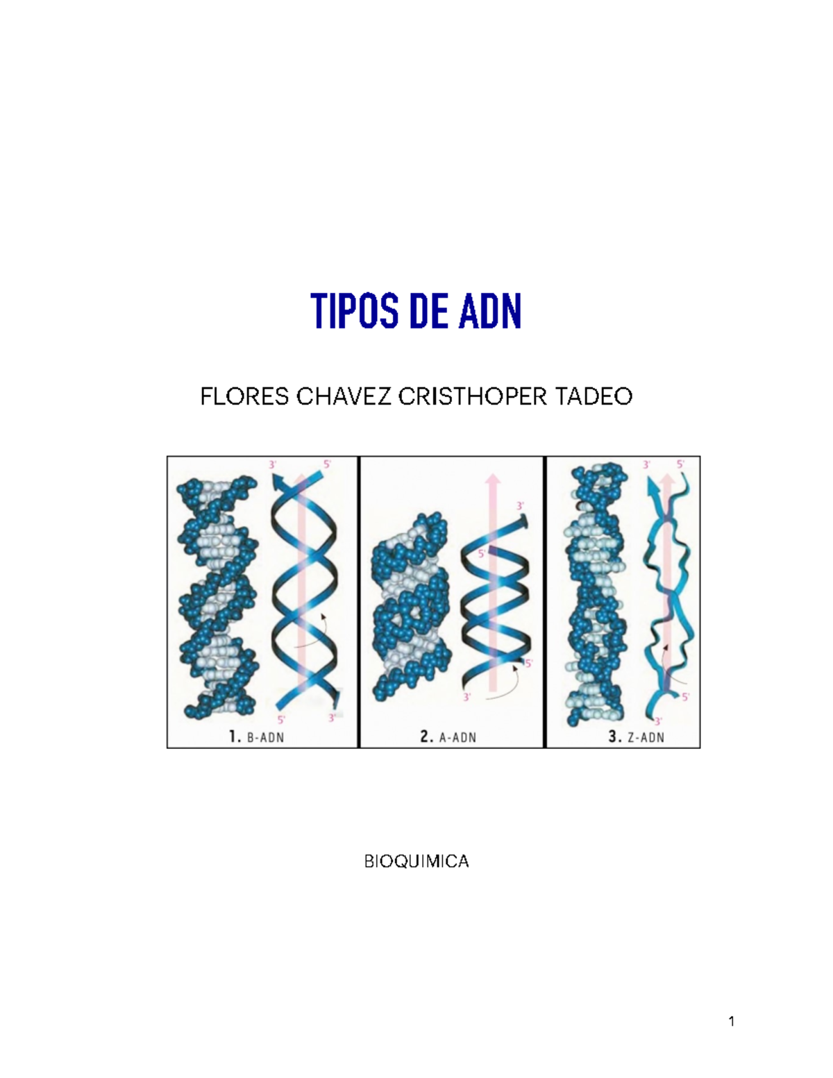 Reporte académico - Tcrded - TIPOS DE ADN FLORES CHAVEZ CRISTHOPER ...