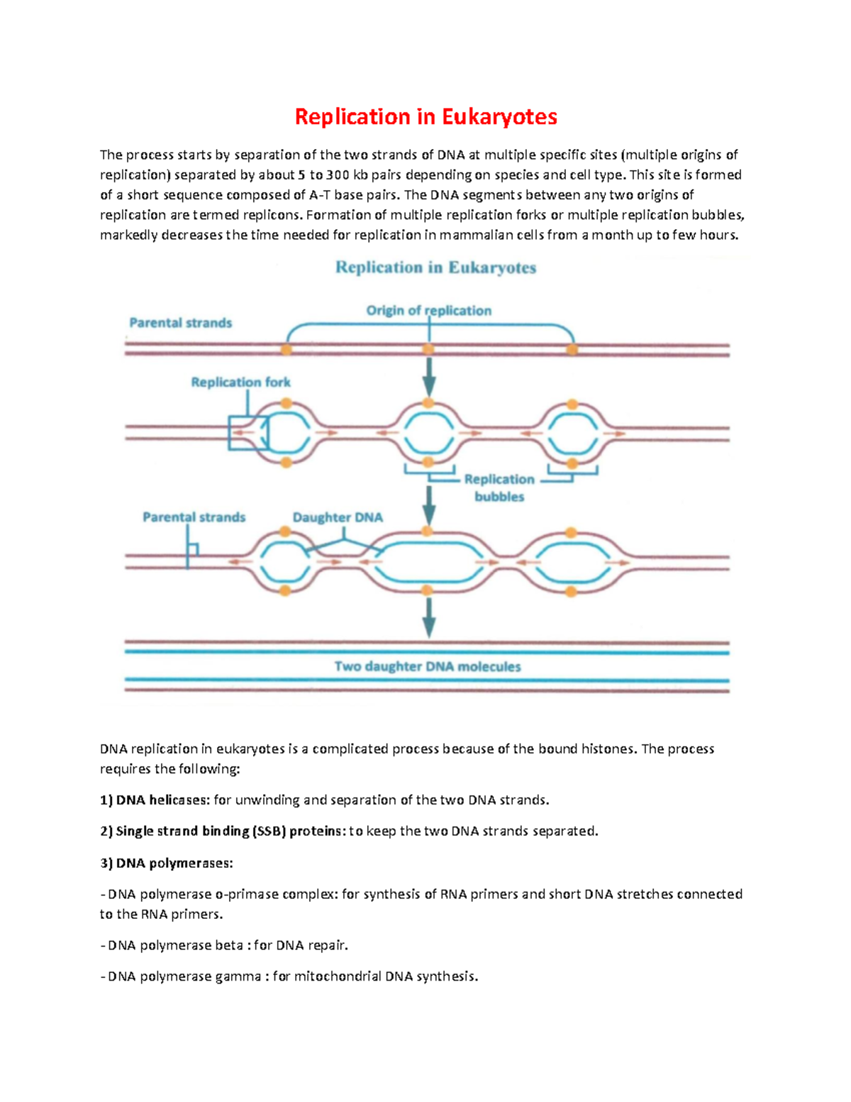Replication in Eukaryotes - This site is formed of a short sequence ...