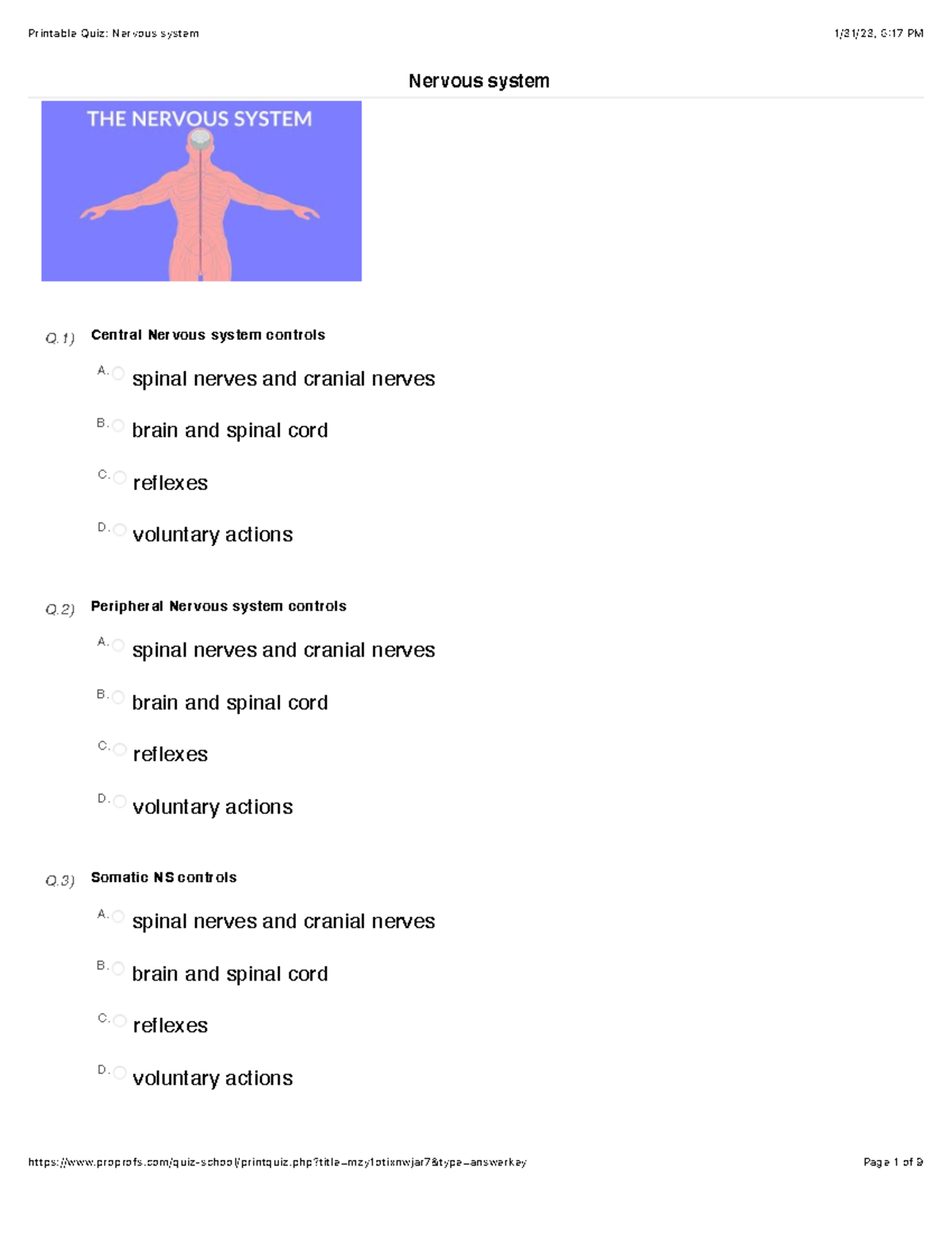 Nervous system - This is a practice quiz to help you be successful ...