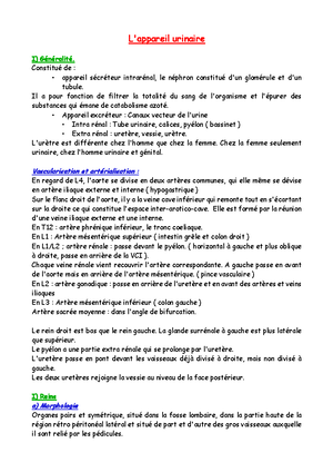 1. Anatomie-du-pharynx (By K - Anatomie du pharynx TH3 Anat ORL - D ...