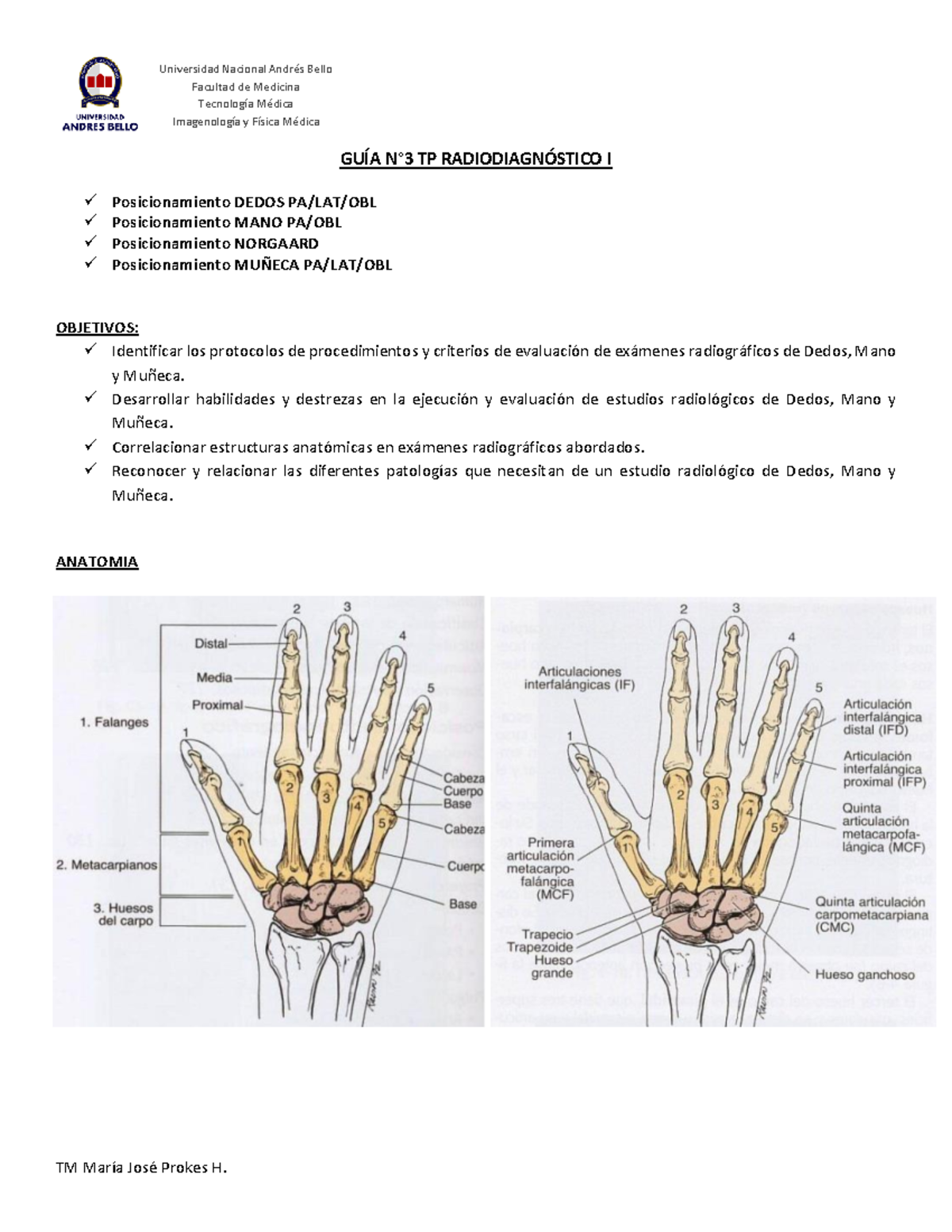 Guía 3 Teorico Practico Posicionamientos Radio diagnóstico I - Radio ...