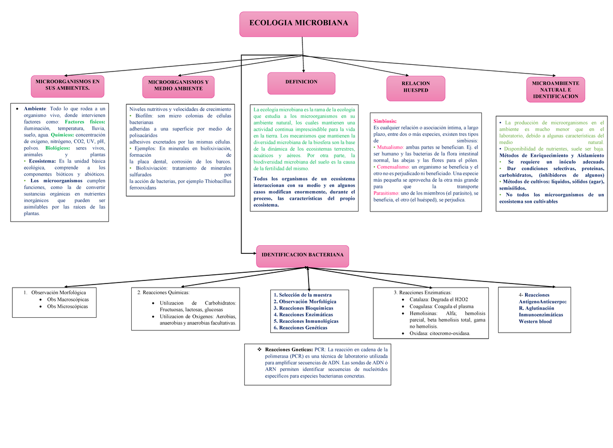 Mapas - cvghjklkjhgfc - ####### RELACION ####### HUESPED ####### MICROORGANISMOS Y DEFINICION ...