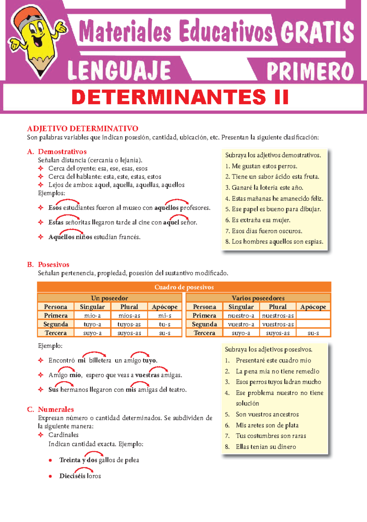 El Adjetivo Determinativo Para Primer Grado de Secundaria - A ...