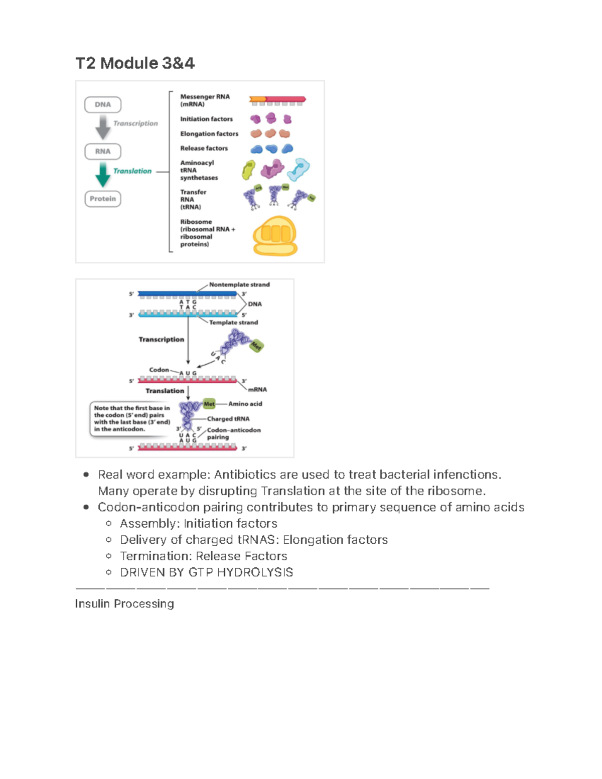 T2 Module 3 and 4 - notes - T2 Module 3& Real word example: Antibiotics ...