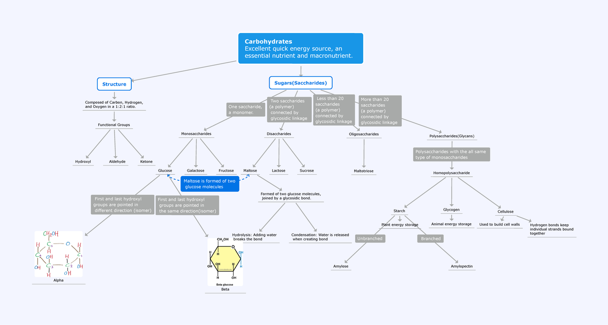 Carbohydrates Excellent quick energy source%2C an essential nutrient ...