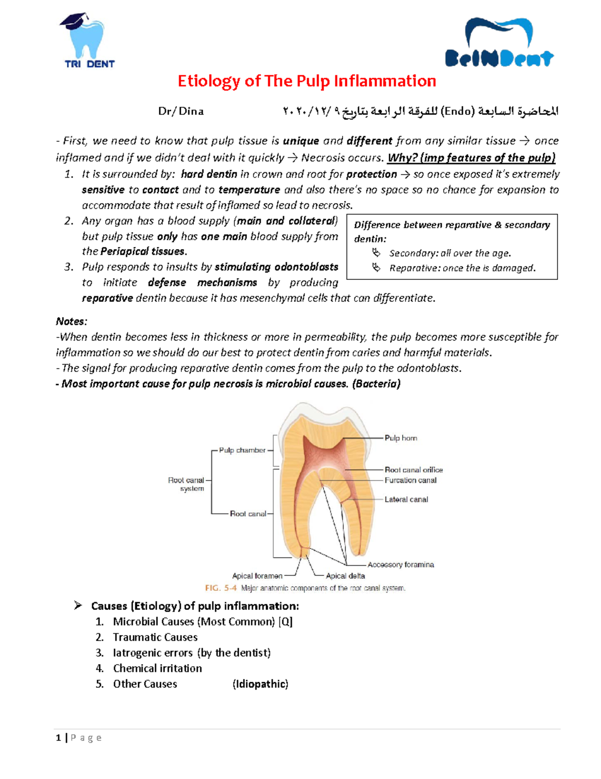 07- Etiology of the pulp inflammation - Etiology of The Pulp ...