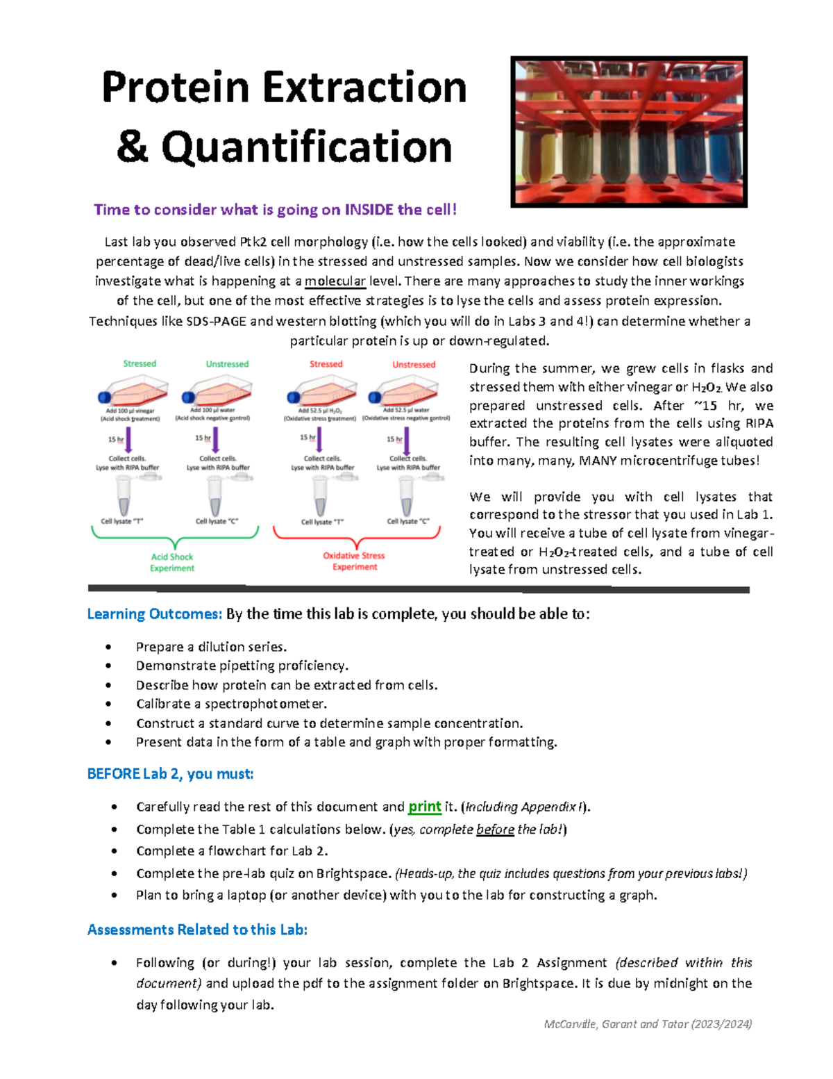 Lab 2 - Protein Quantification Guide F23 - Protein Extraction & Quantification Time to consider ...
