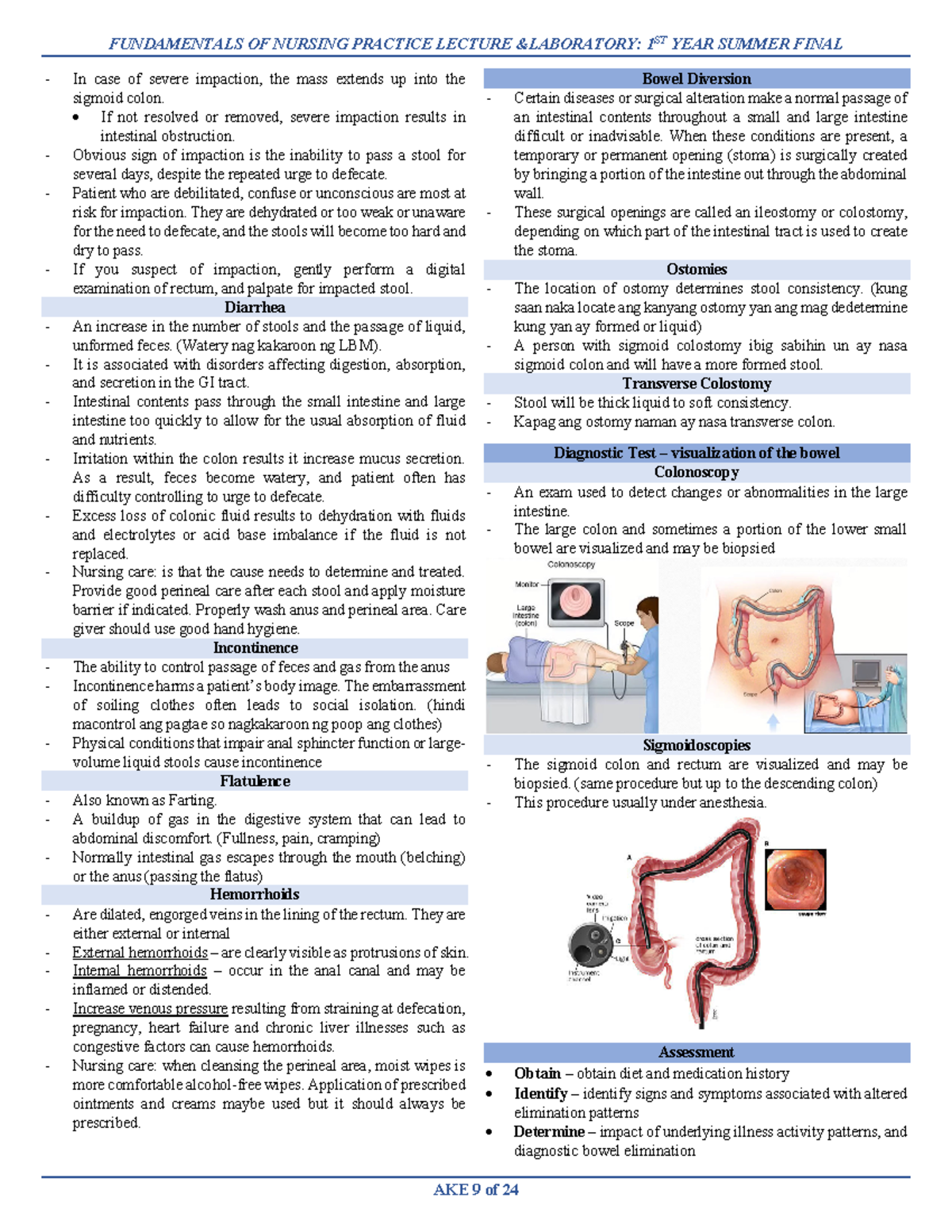 Bowel Diversion - FUNDAMENTALS OF NURSING PRACTICE LECTURE &LABORATORY ...
