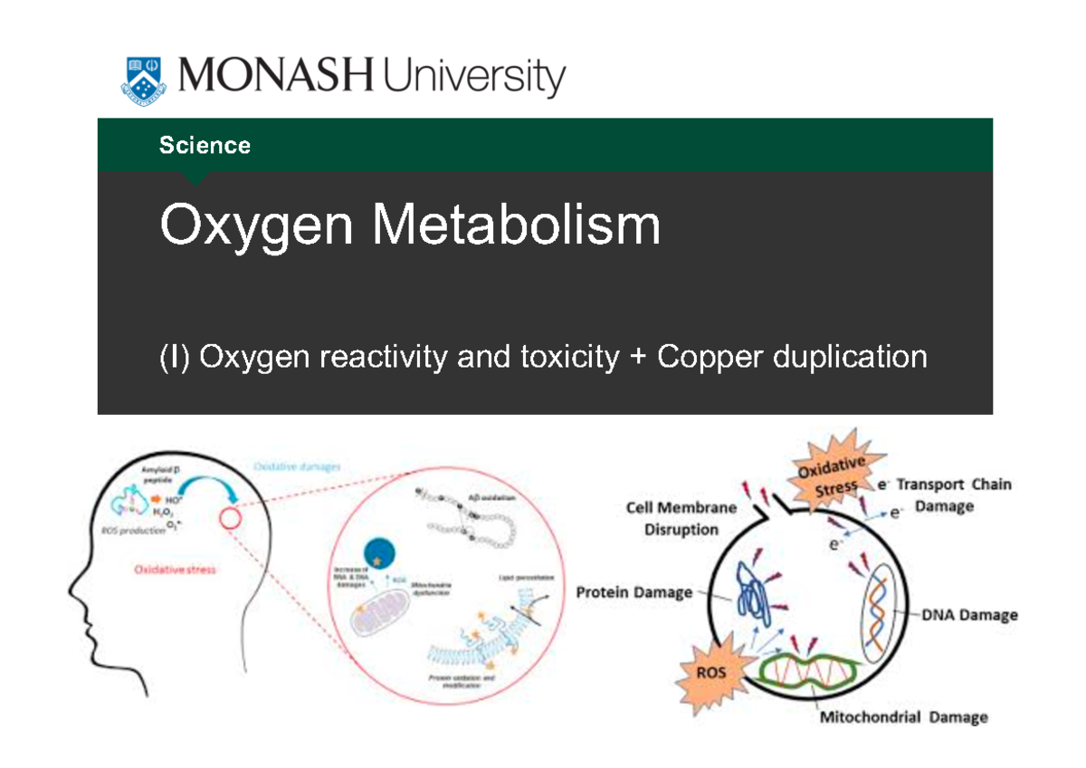 Lecture W7-1 Oxygen reactivity and toxicity updated - Science Oxygen ...