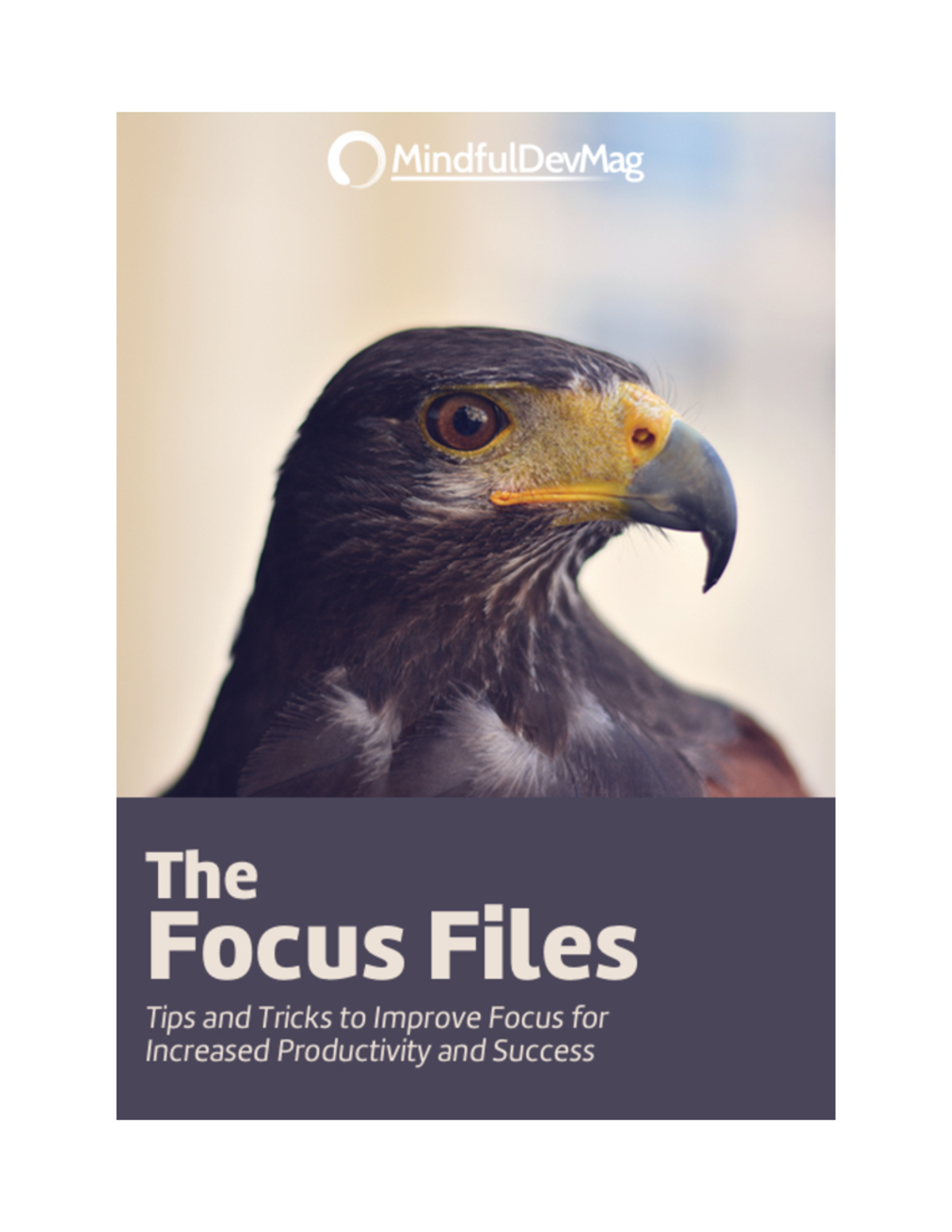 Focus Files - Ggg - ! The Focus Files © Tips and Tricks to Improve ...