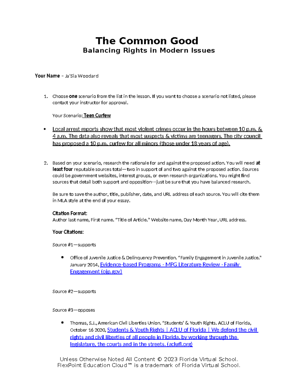 The common good template JCompleted - The Common Good Balancing Rights ...