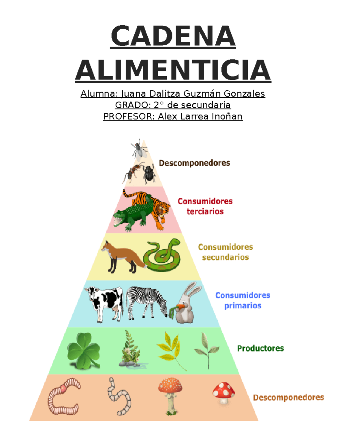 Cadena Alimenticia - RESUMEN - CADENA ALIMENTICIA Alumna: Juana Dalitza ...