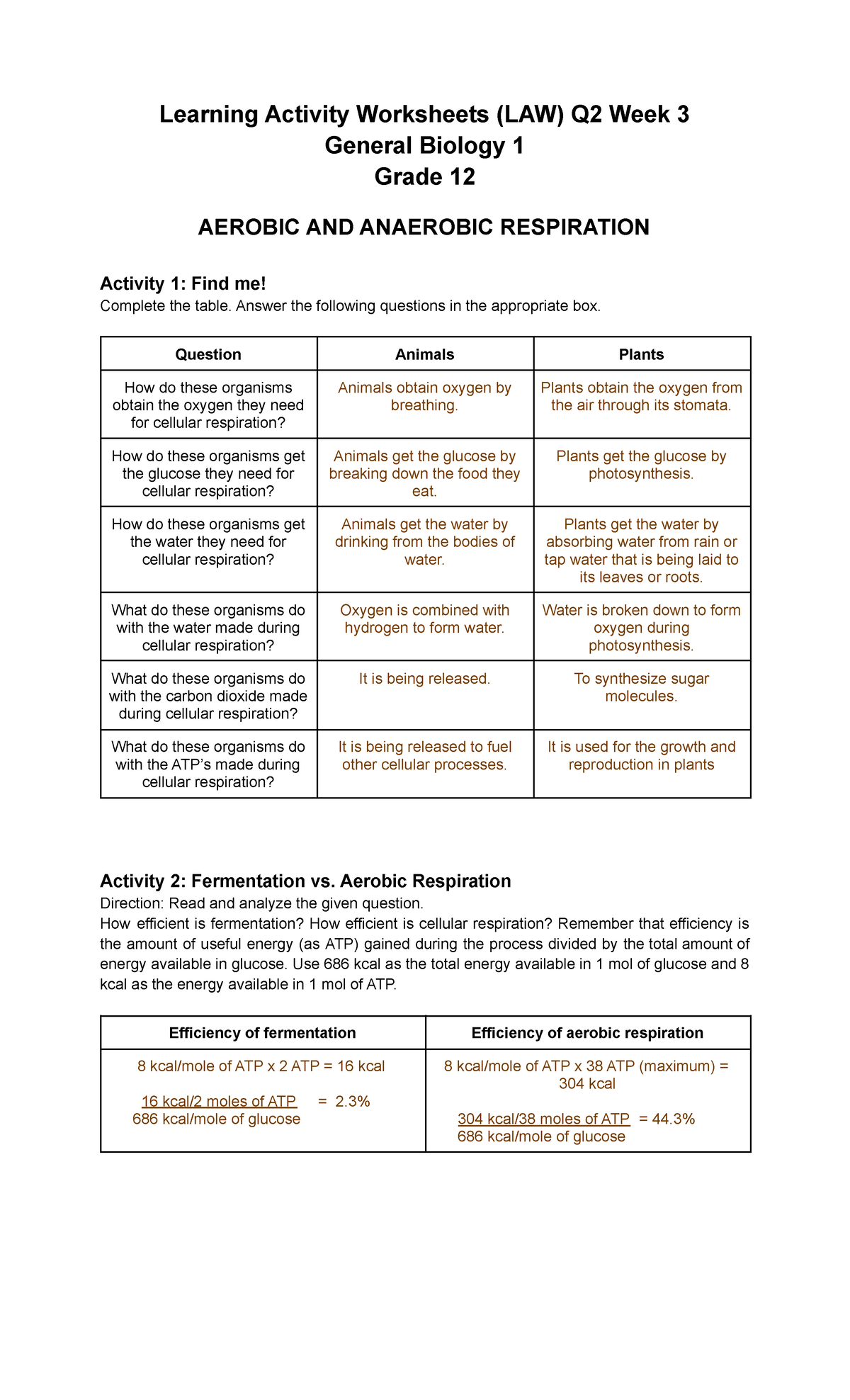 General Biology WEEK 3 Quarter 2 Worksheet Answer KEY Grade 12 STEM ...