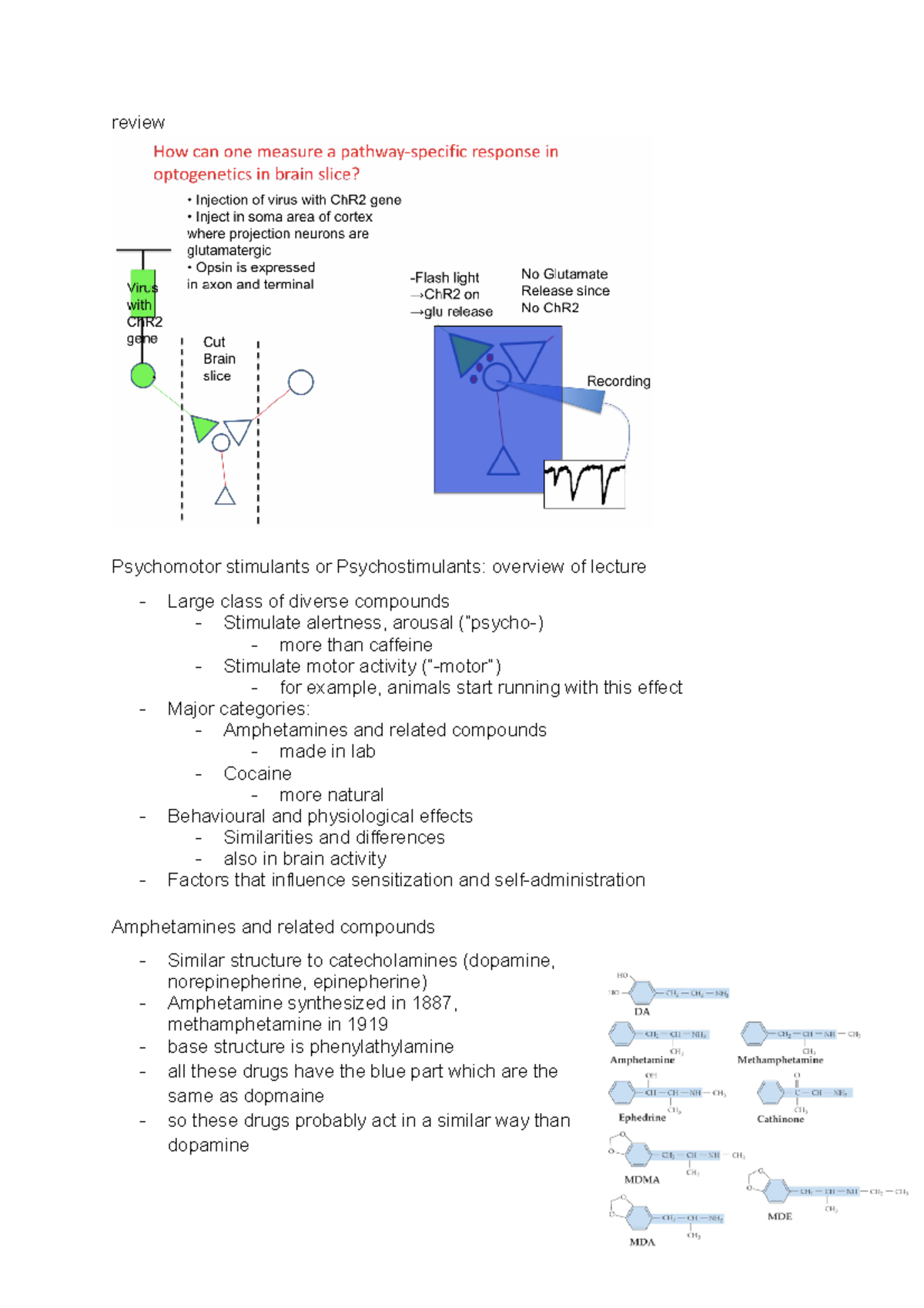 Lecture 7- Psychomotor stimulants - review Psychomotor stimulants or ...