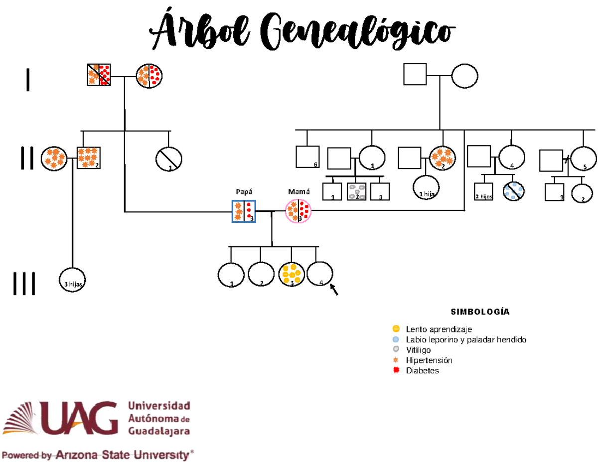 Árbol - Genealogico - Embriología y Fundamentos de Genética - 21 3 ...
