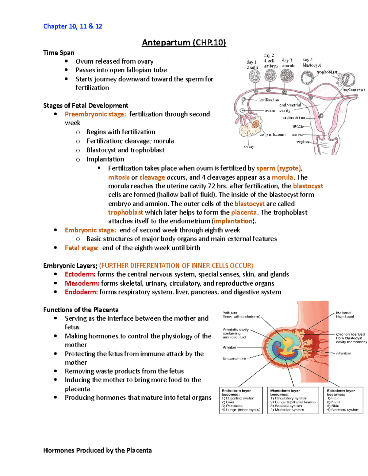 CHP. 10,11,12 Normal pregnancy - Antepartum (CHP) Time Span Ovum released from ovary Passes into ...