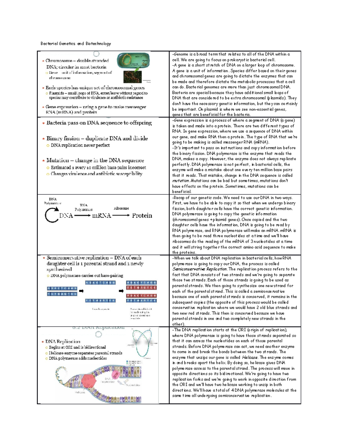 Week 7 Lectures - Lecture notes 7 - Bacterial Genetics and ...