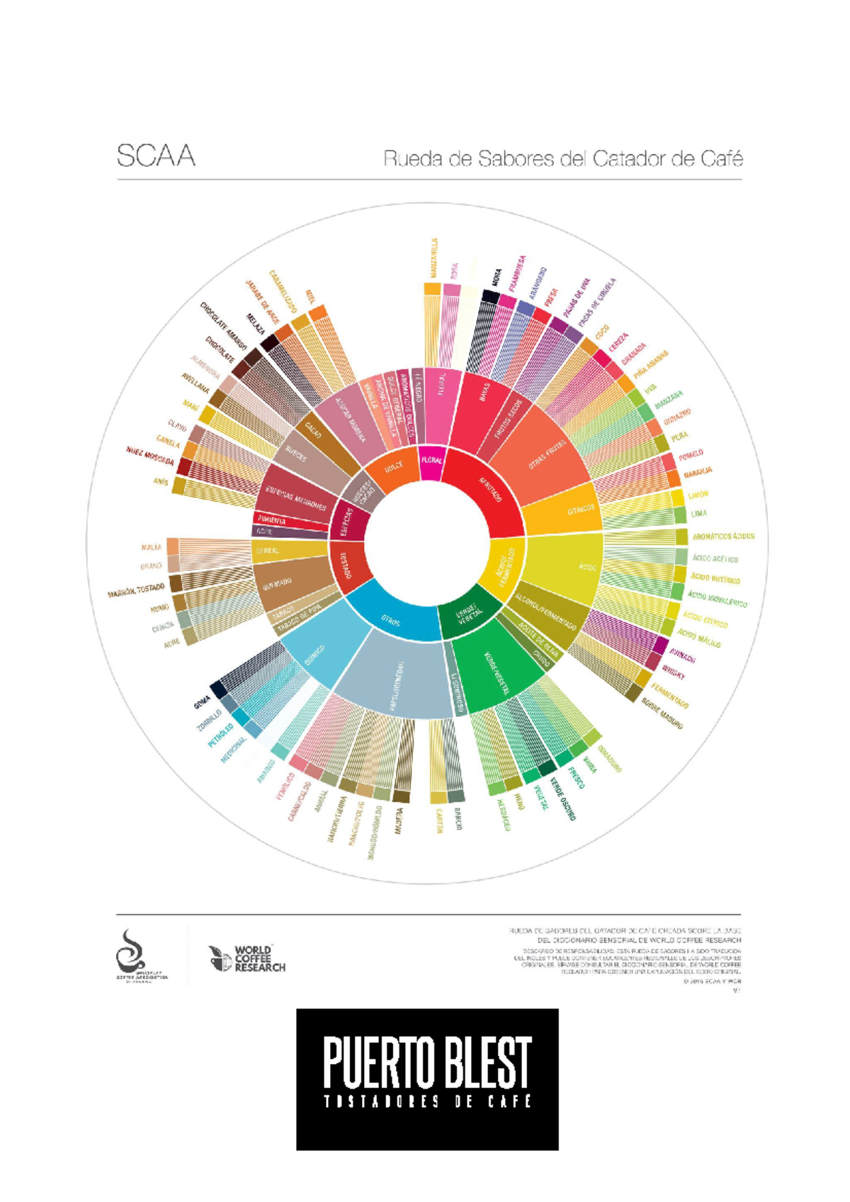 Multisensory Exercises Argentina traducido - GUSTO Gustos básicos 1 ...