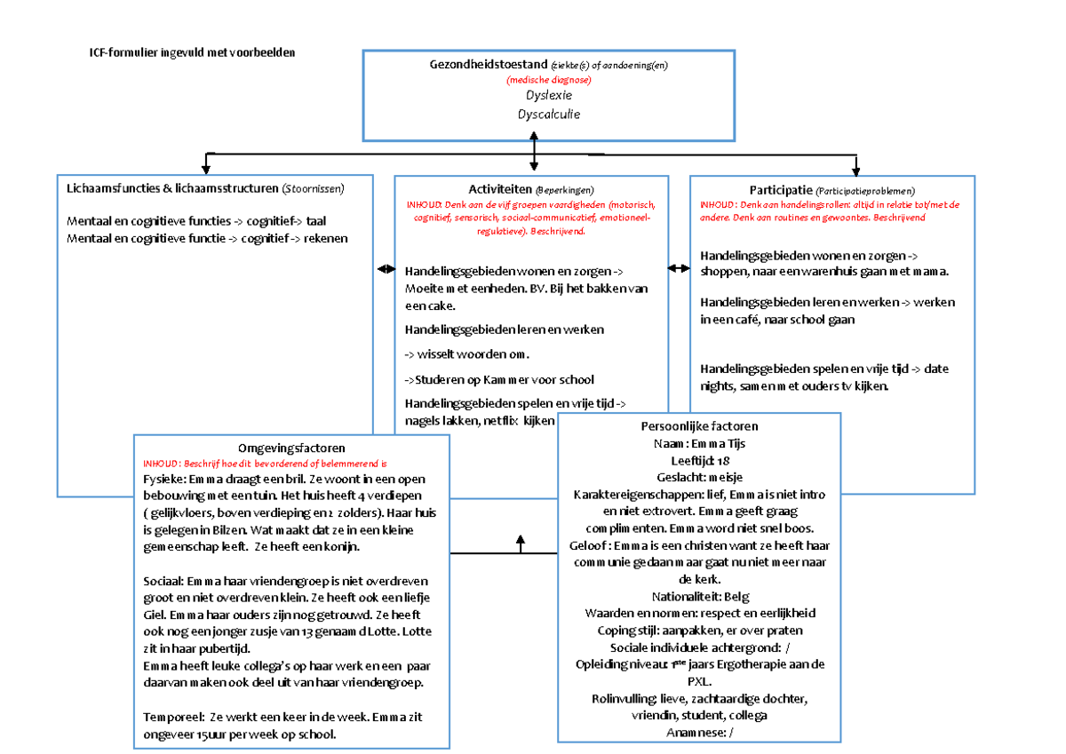ICF invullen adhv. een interview - ICF-formulier ingevuld met ...