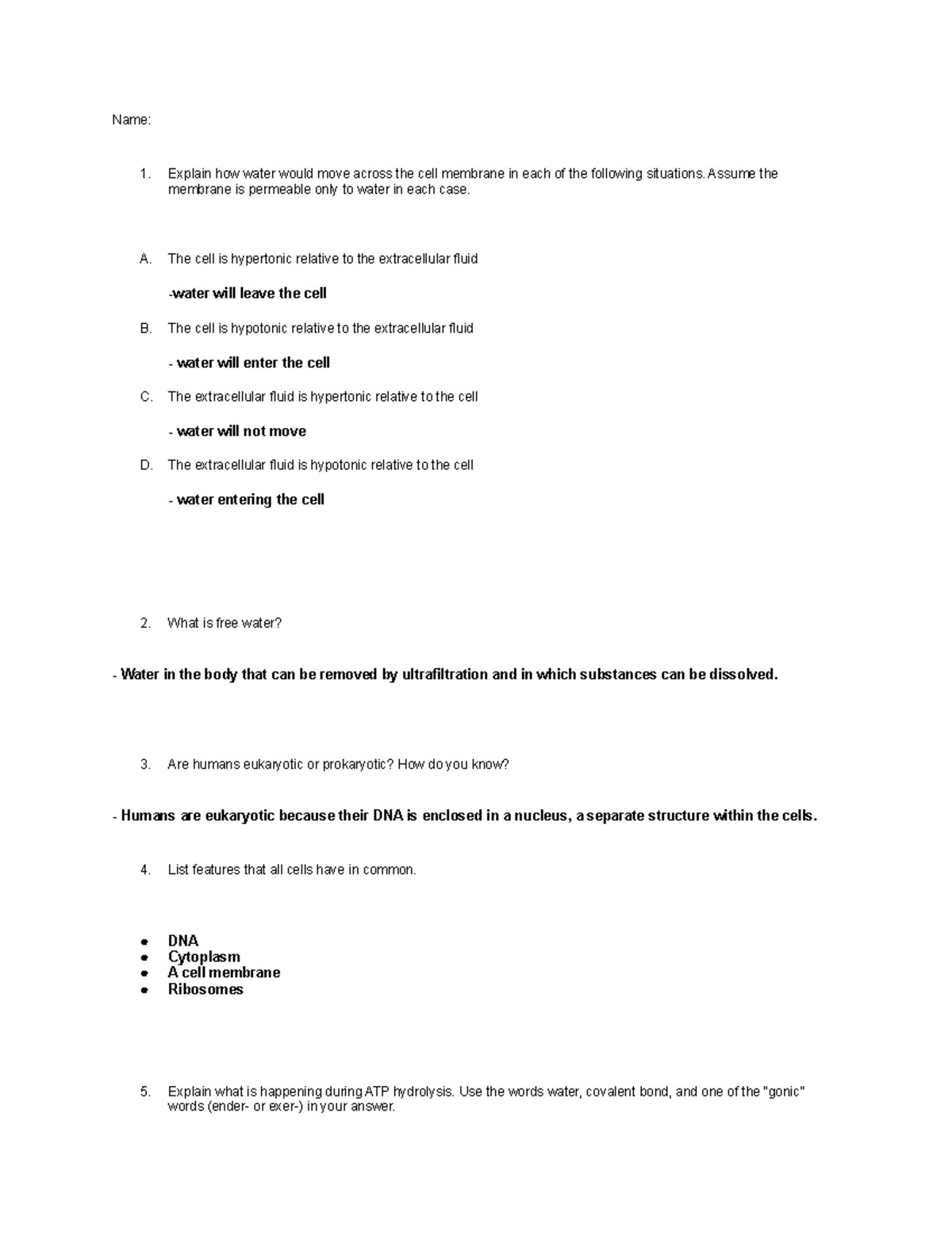 Cellular Respiration Assignment 2021 - Name: Explain how water would ...