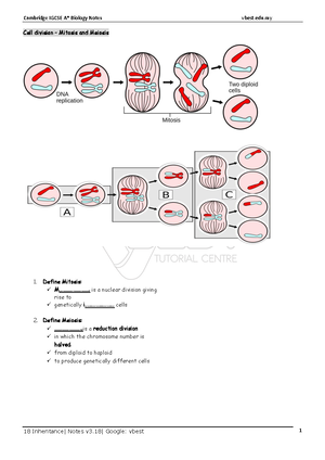 Transcription factors activator proteins - Biology - Studocu