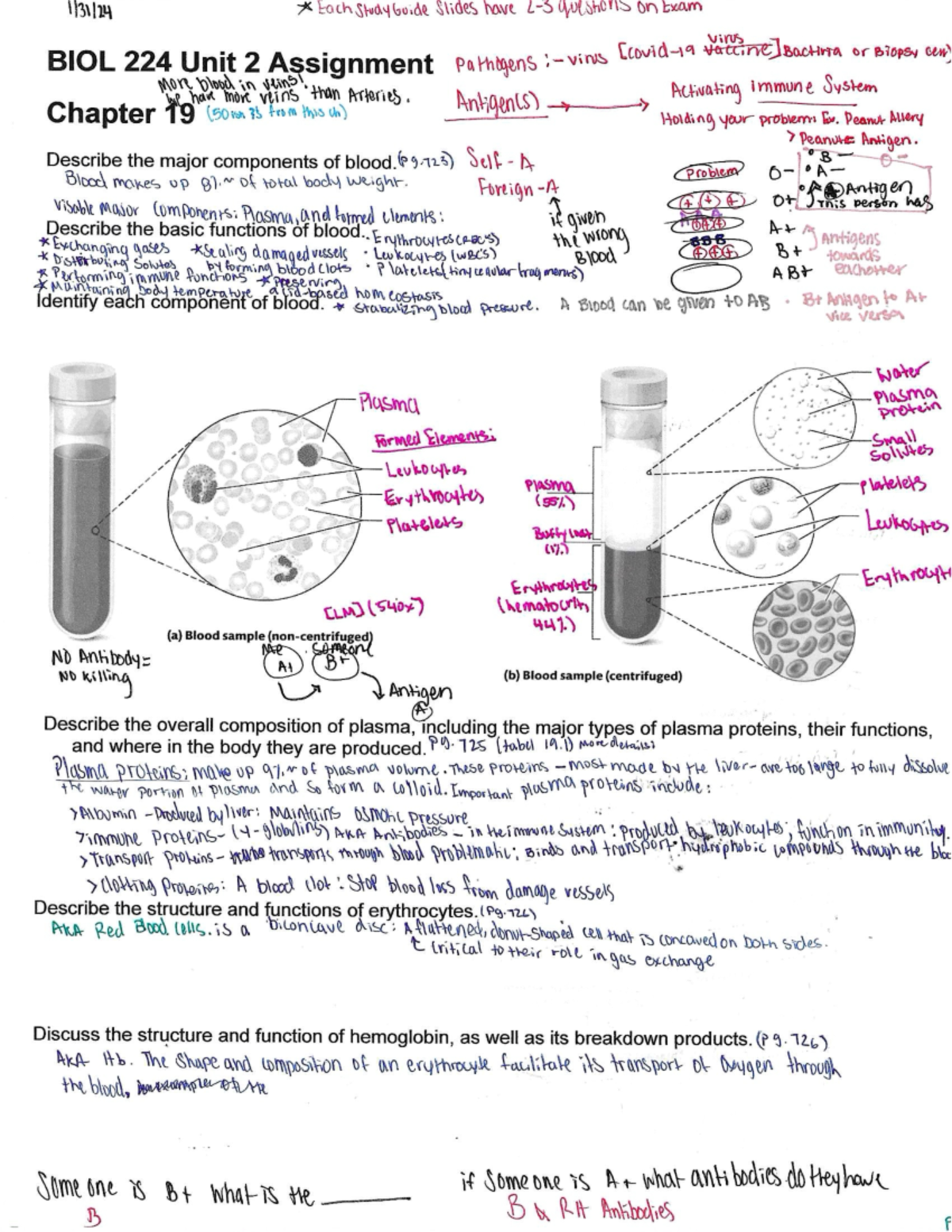 BIOL 224 unit 2 assignment - BIOL 224 - Studocu