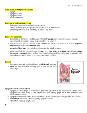 2024 Midterm 2 Study Guide - Human Anatomy & Physiology II Midterm 2 ...